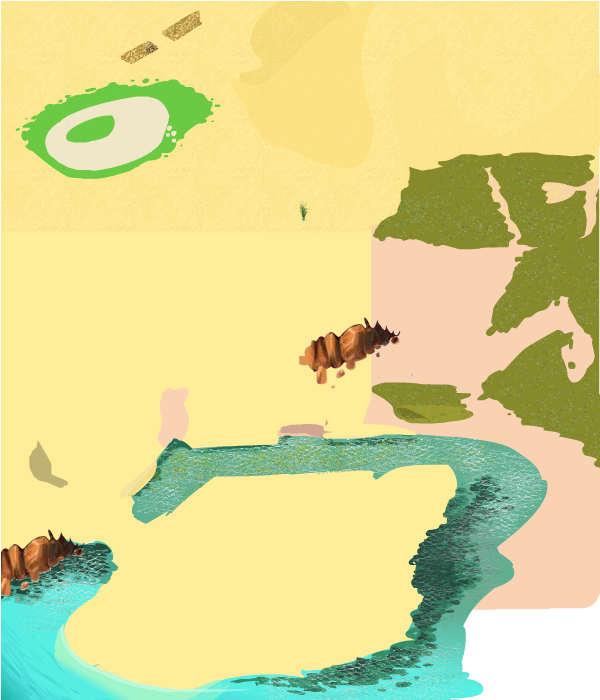 Jeu de simulation en ligne de gestion d'animaux, gérez votre zoo virtuel