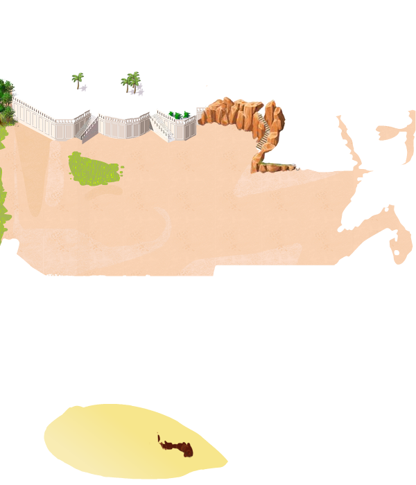 Jeu de simulation en ligne de gestion d'animaux, gérez votre zoo virtuel